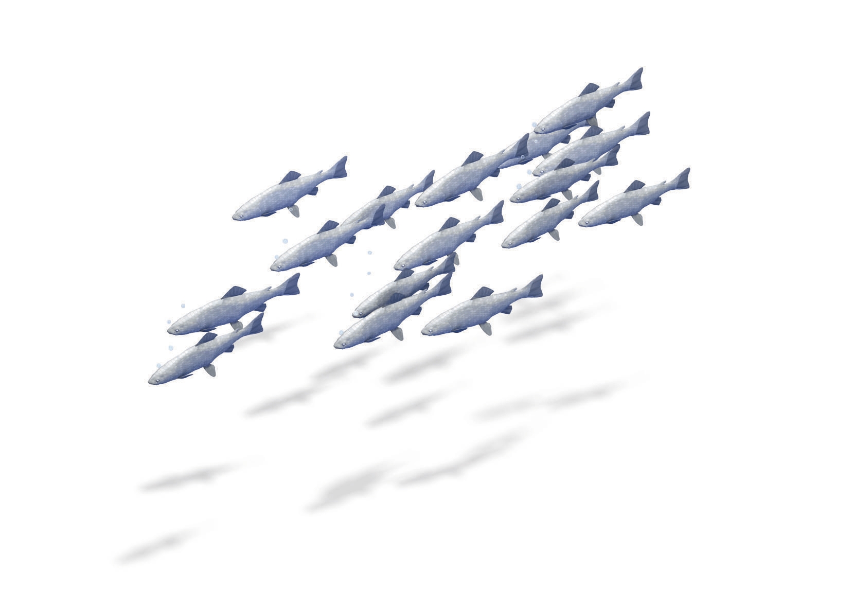 "Environmental Monitoring Infographic – Element: Fish" - Bilder - Nord ...