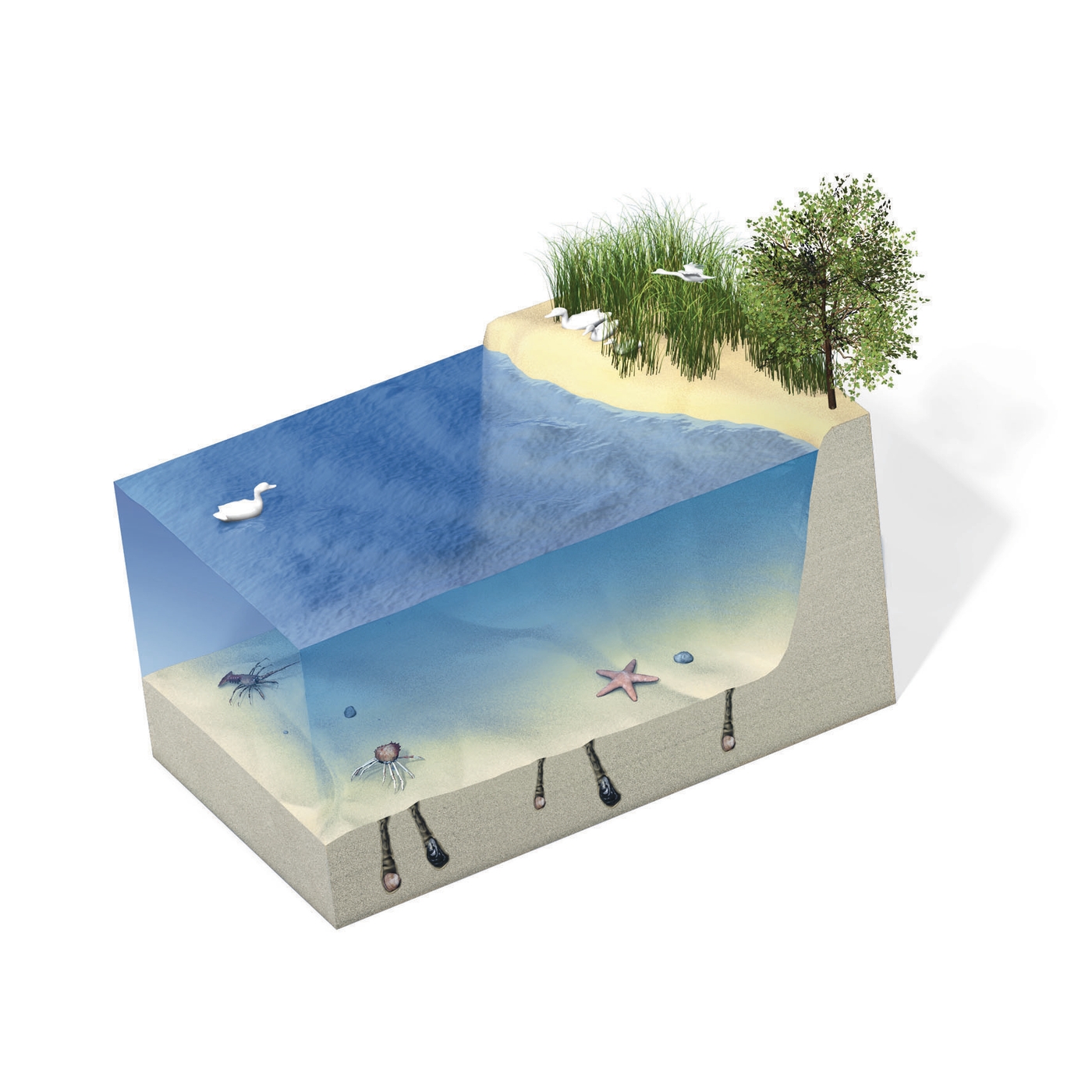 "Environmental Monitoring Infographic – Icon: Bottom Currents" - Images ...